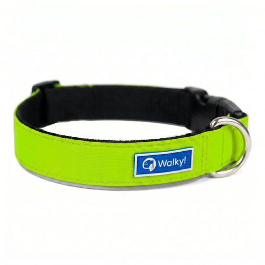 Colección Neón – Walky