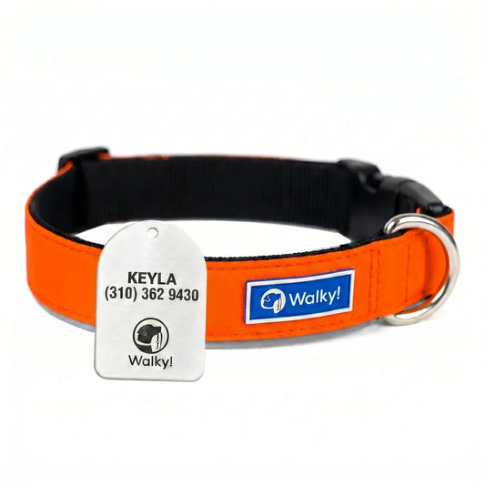 Colección Neón – Walky