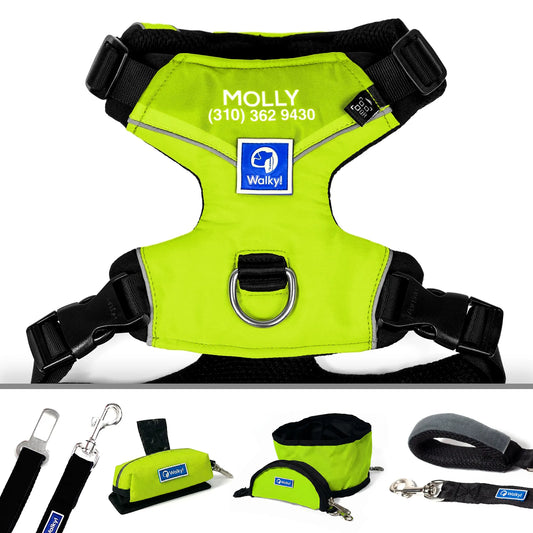 Colección Neón – Walky