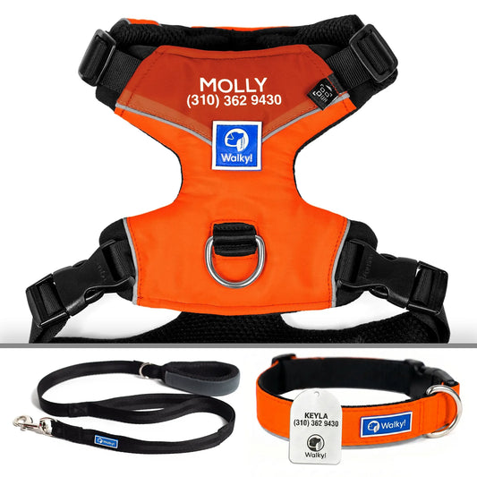 Colección Neón – Walky